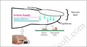 Interfacing MAX30100 Heart Rate Monitor With Arduino